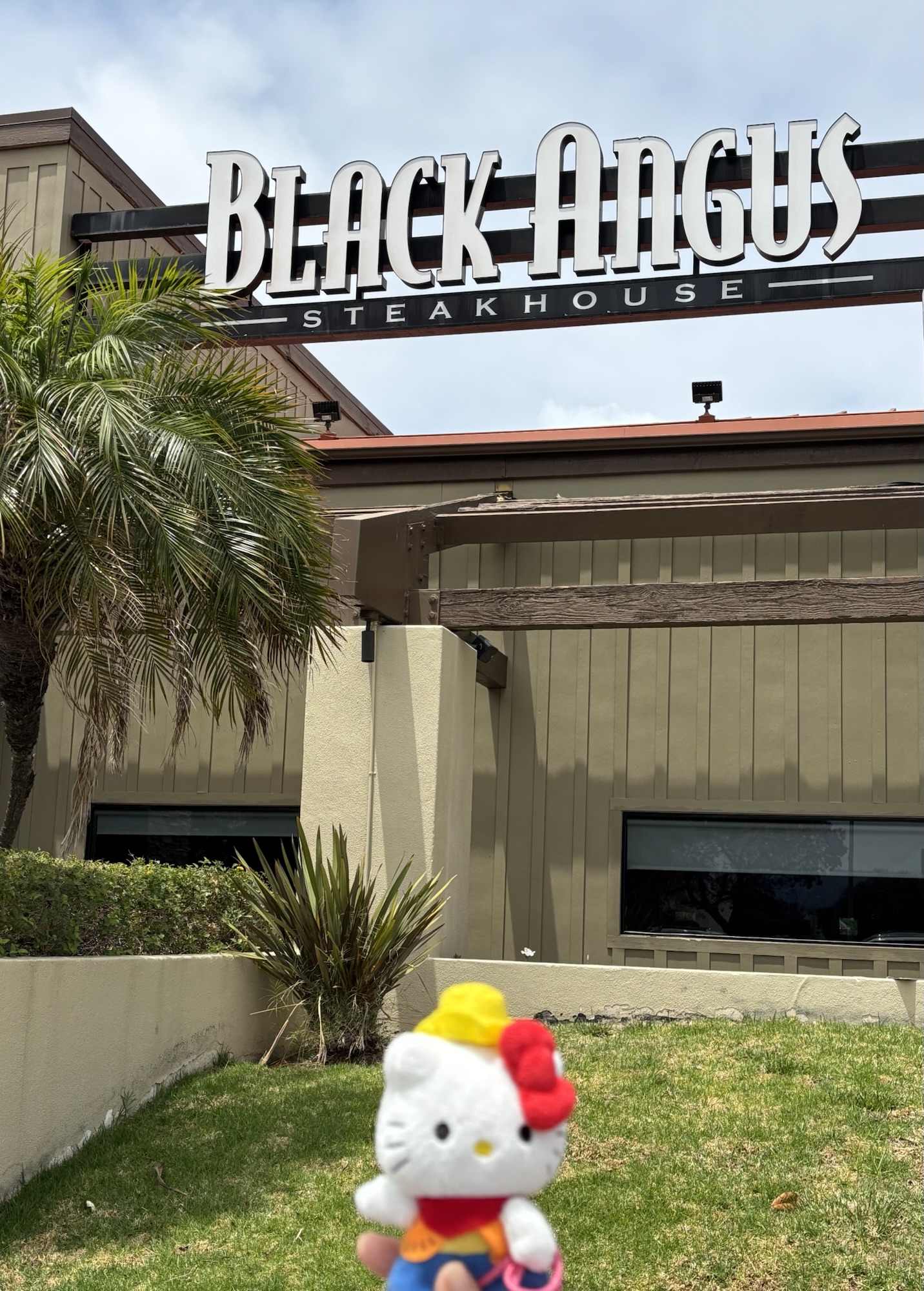 Hello and Farewell, Black Angus Torrance! 🤠 – hello foodie jenn